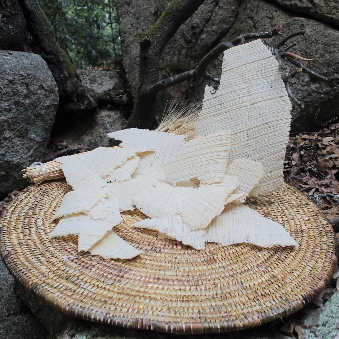 Il capolavoro di pasta sardo: su Filindeu - Quattro Mori News