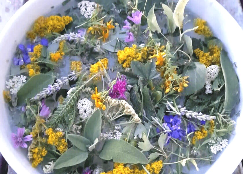 Erbe e fiori sotto le stelle: l'Acqua di San Giovanni - Quattro Mori News